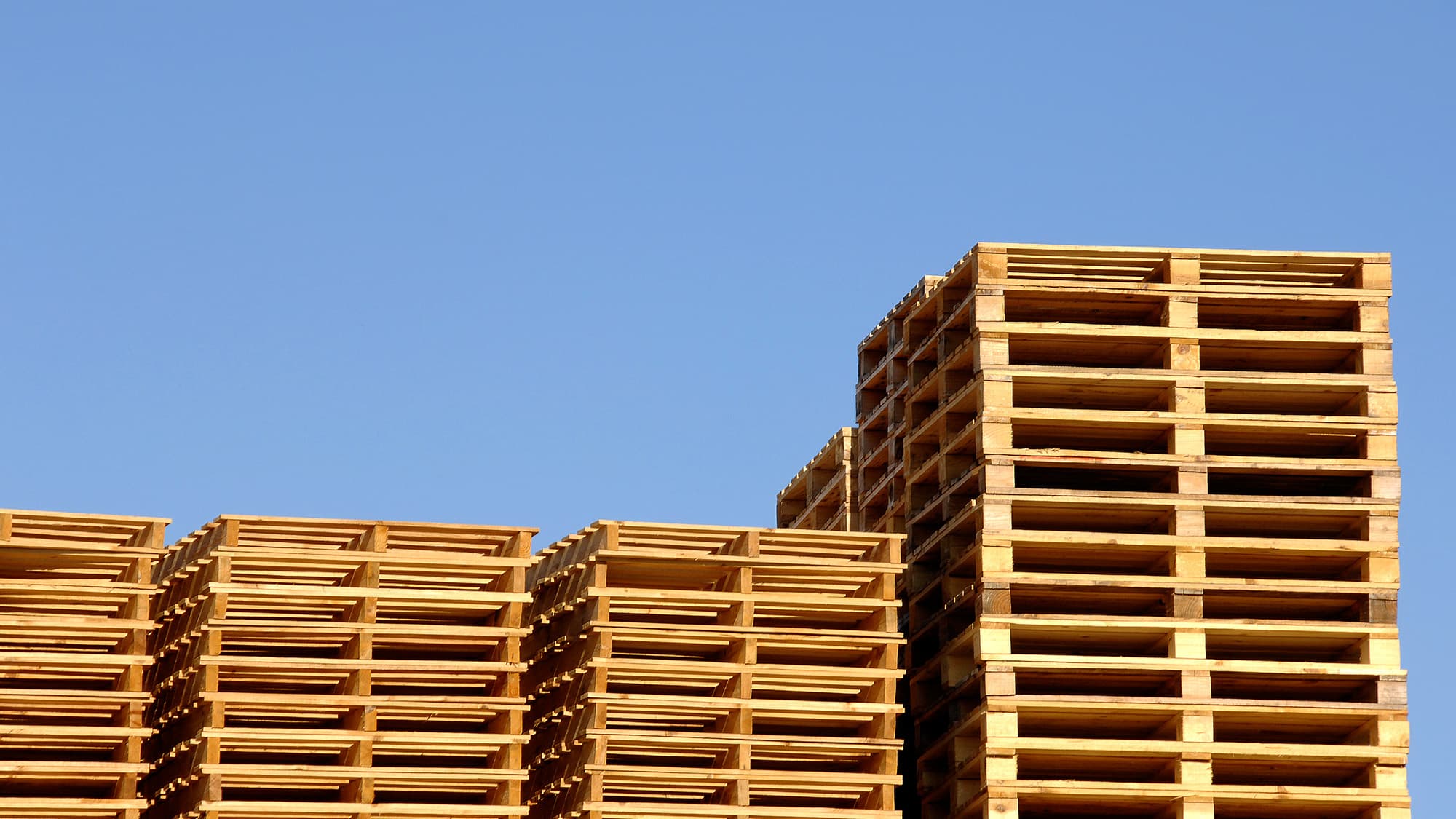 ขนาดพาเลทไม้มาตรฐานส่งออกที่กำหนดโดย ISO - SVS Products